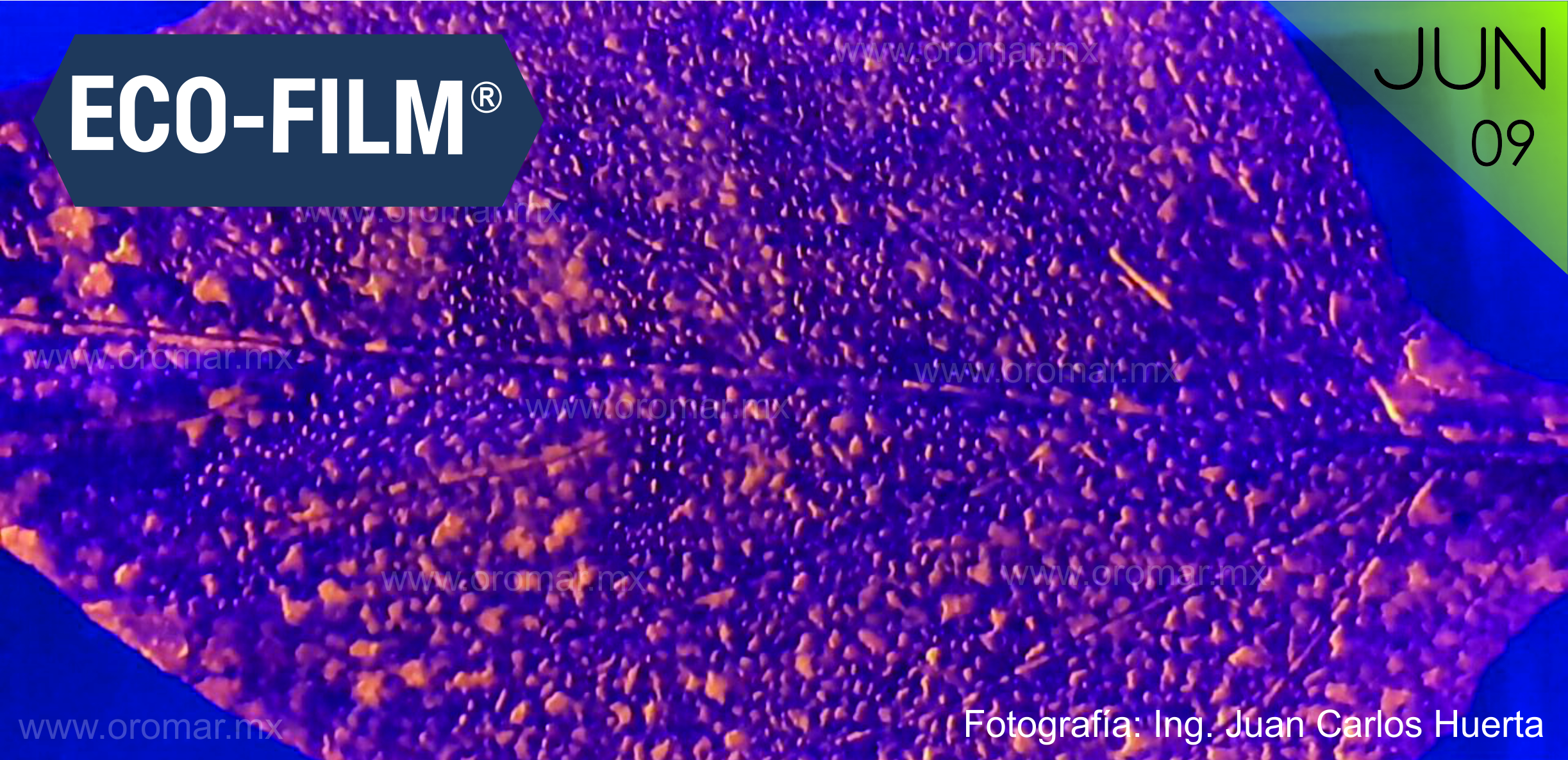 ¿Qué son los coadyuvantes ? | Celuz AGRO