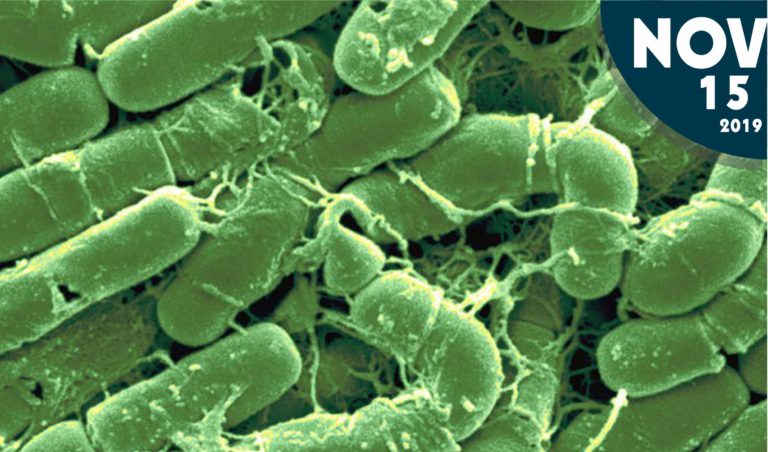 Bacillus thuringiensis – Celuz AGRO