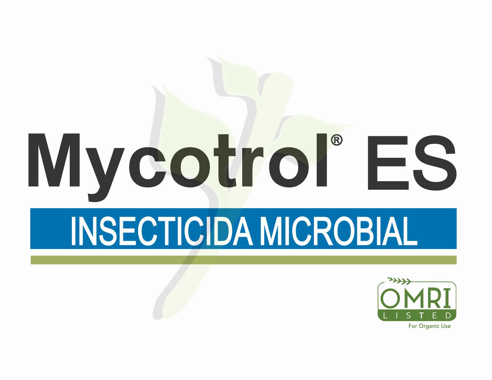 Noticias – Celuz AGRO