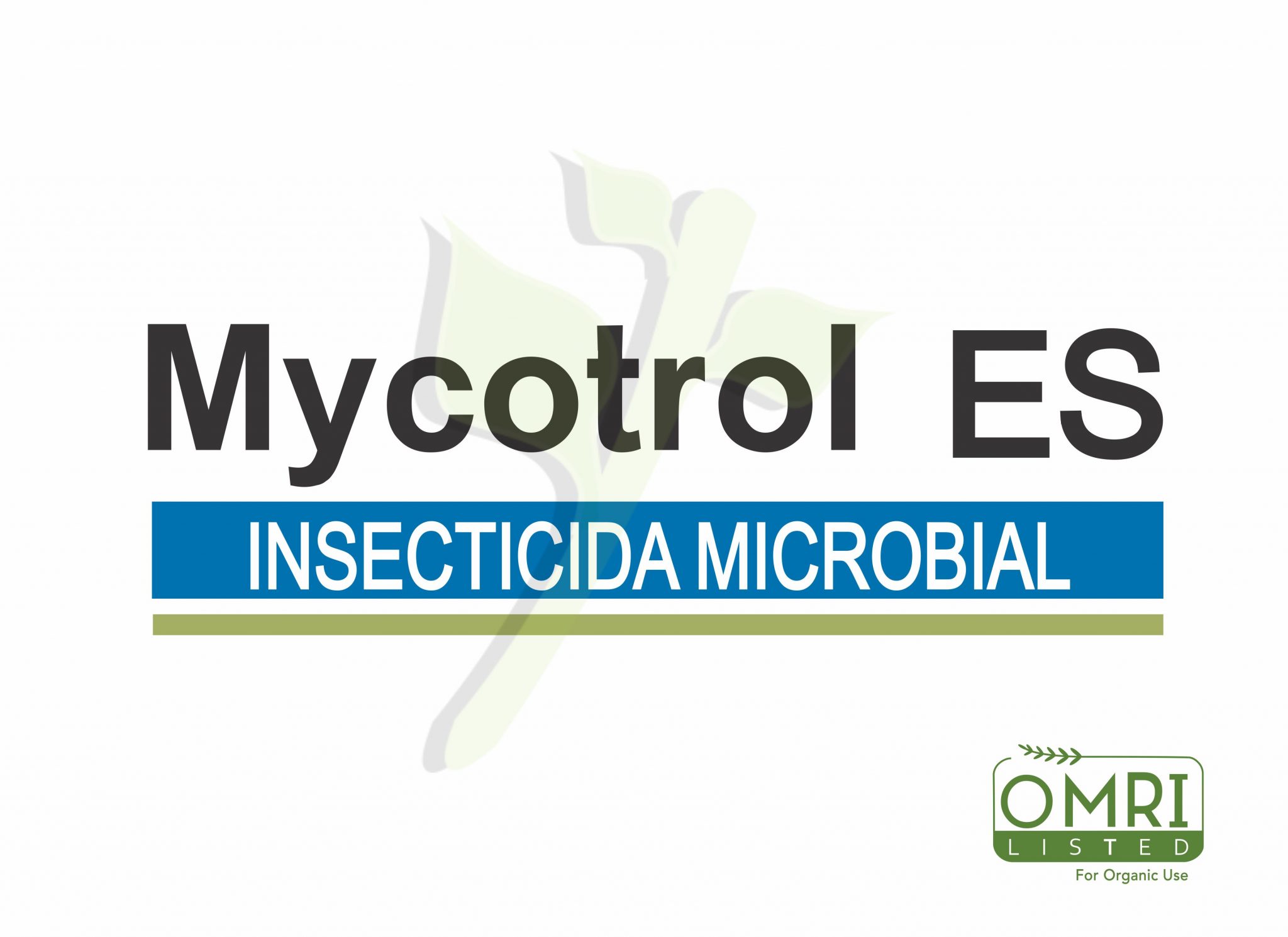 Insecticides – Celuz AGRO