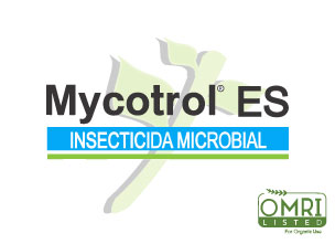 Insecticides – Celuz AGRO