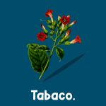 XENTARI - Celuz AGRO